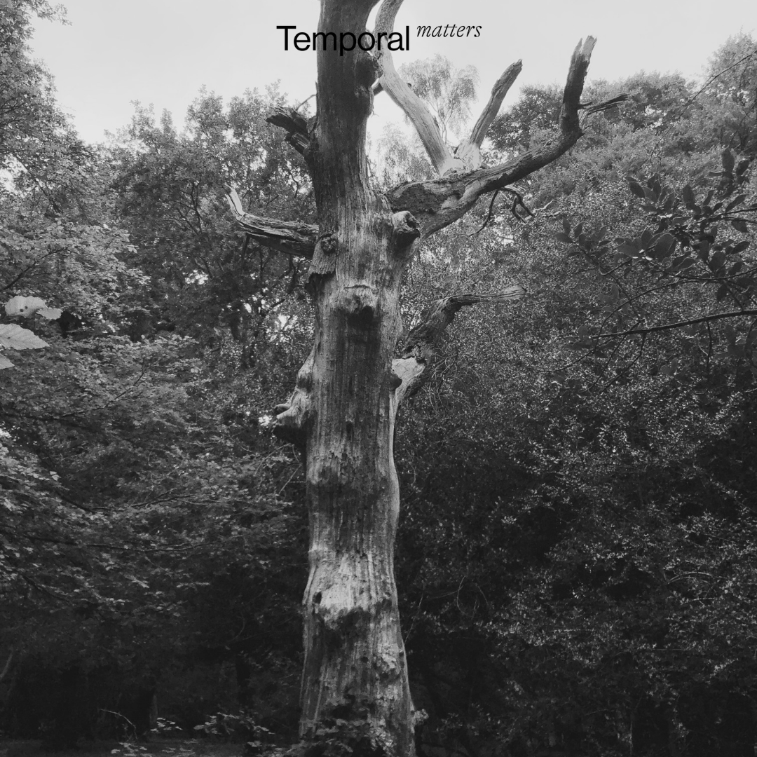 Your emerging relationship with nature – Temporal Matters